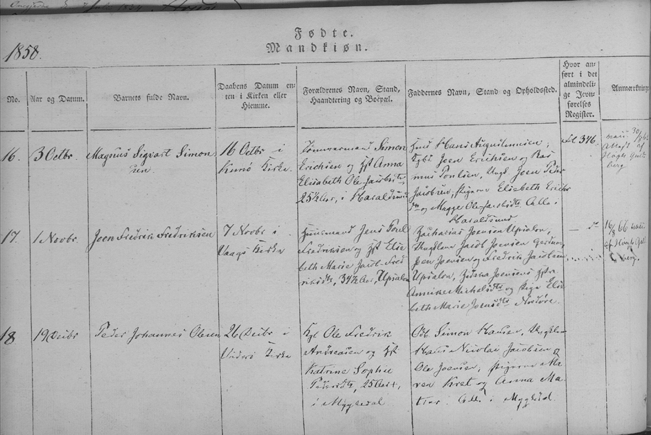 Magnus Sigvart Simonsen (1858 - 1937) - Genealogy